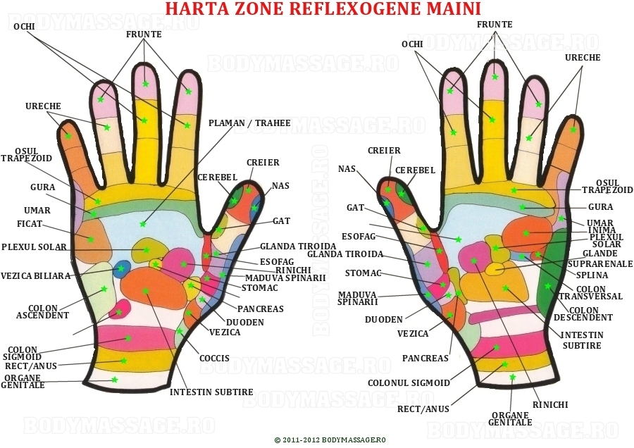 Manufactura VIVERDA: REFLEXOTERAPIA