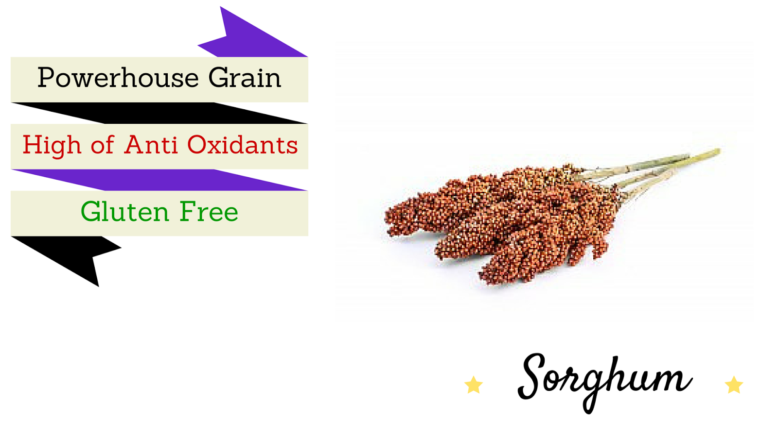 Ancient Grains List: Ancient Grains List