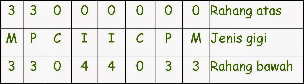 belajar biologi: SISTEM PENCERNAAN HEWAN RUMINANSIA