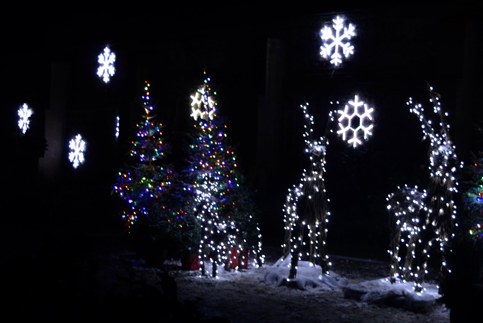 Winter Wonderland Christmas Light Show | A Wynyard Hall Garden Event ...