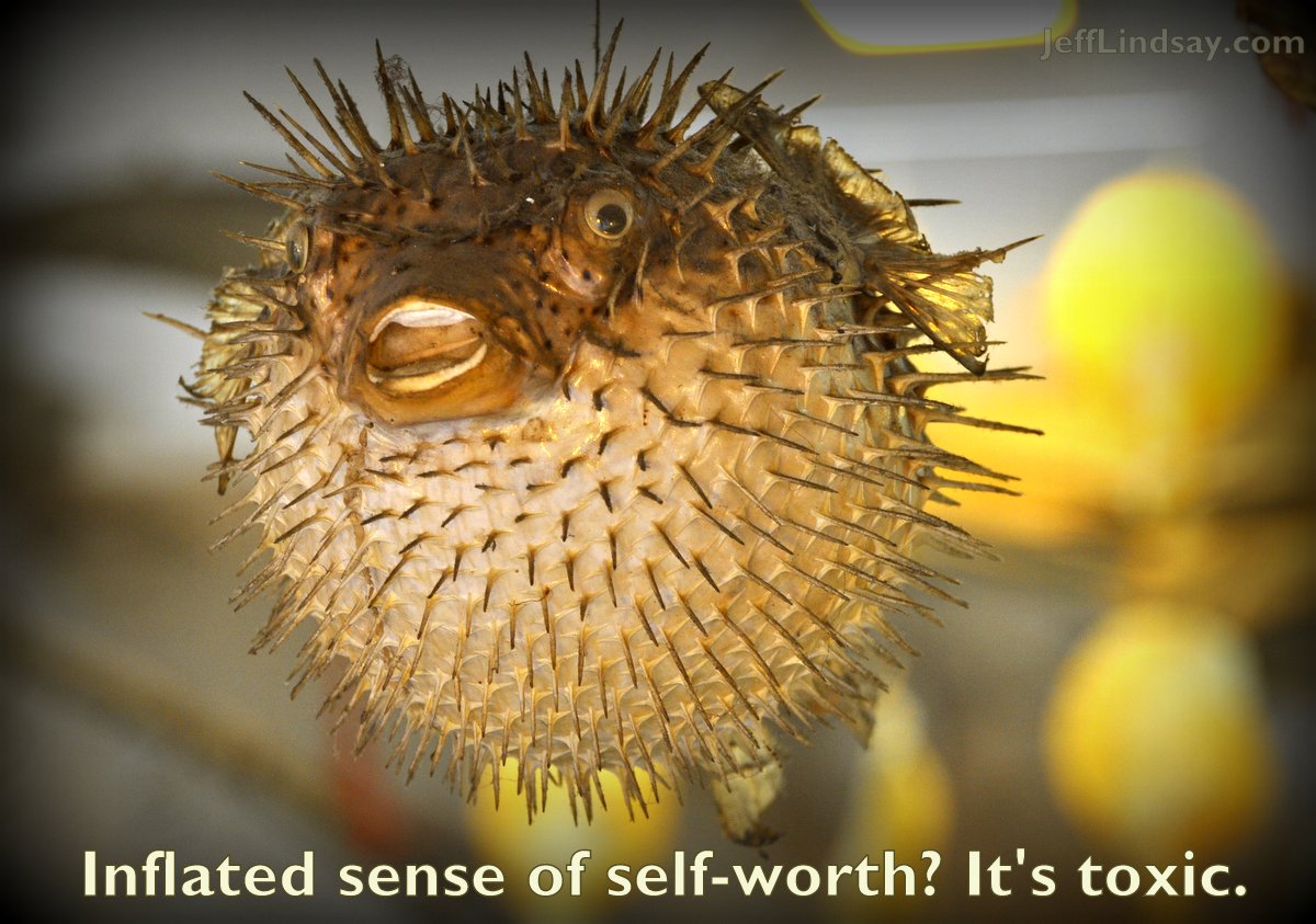 Inflation: It Can Be a Killer » Latter-day Saint Blogs ...