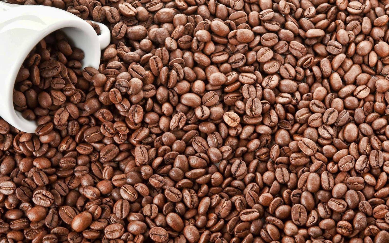 Coffee Seeds Wallpaper