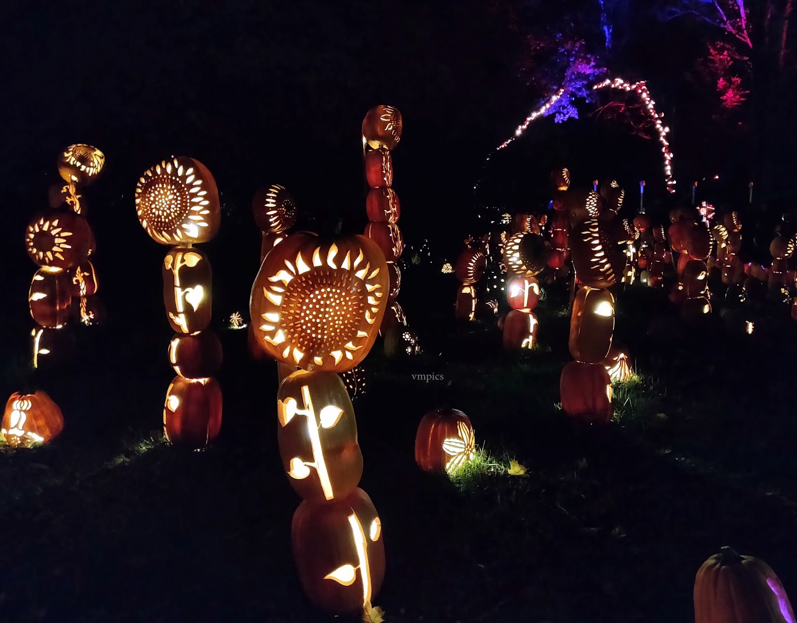 Craze of the Hudson Valley Jack 'O Lantern Blaze