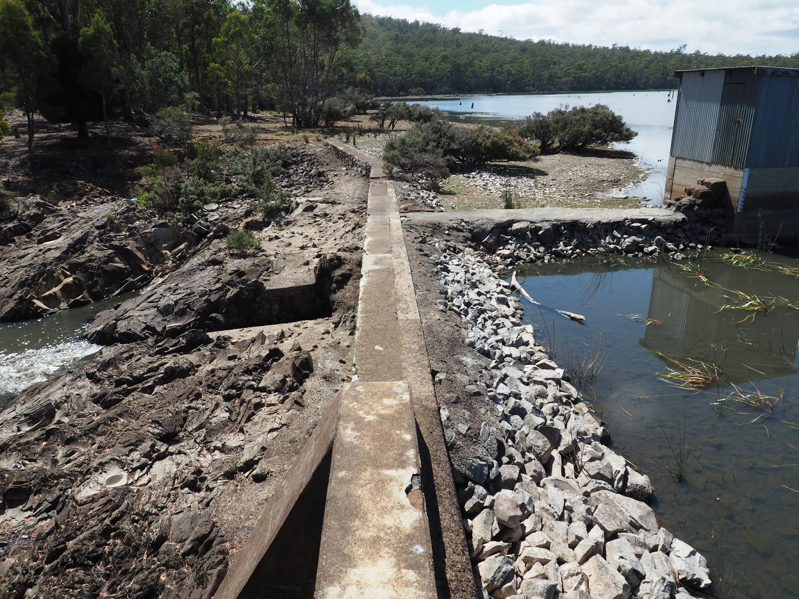 Tooms Lake | Hiking South East Tasmania