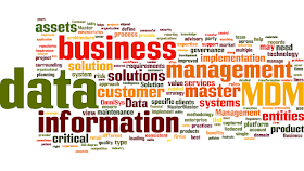 How an master data management project should progress part 1