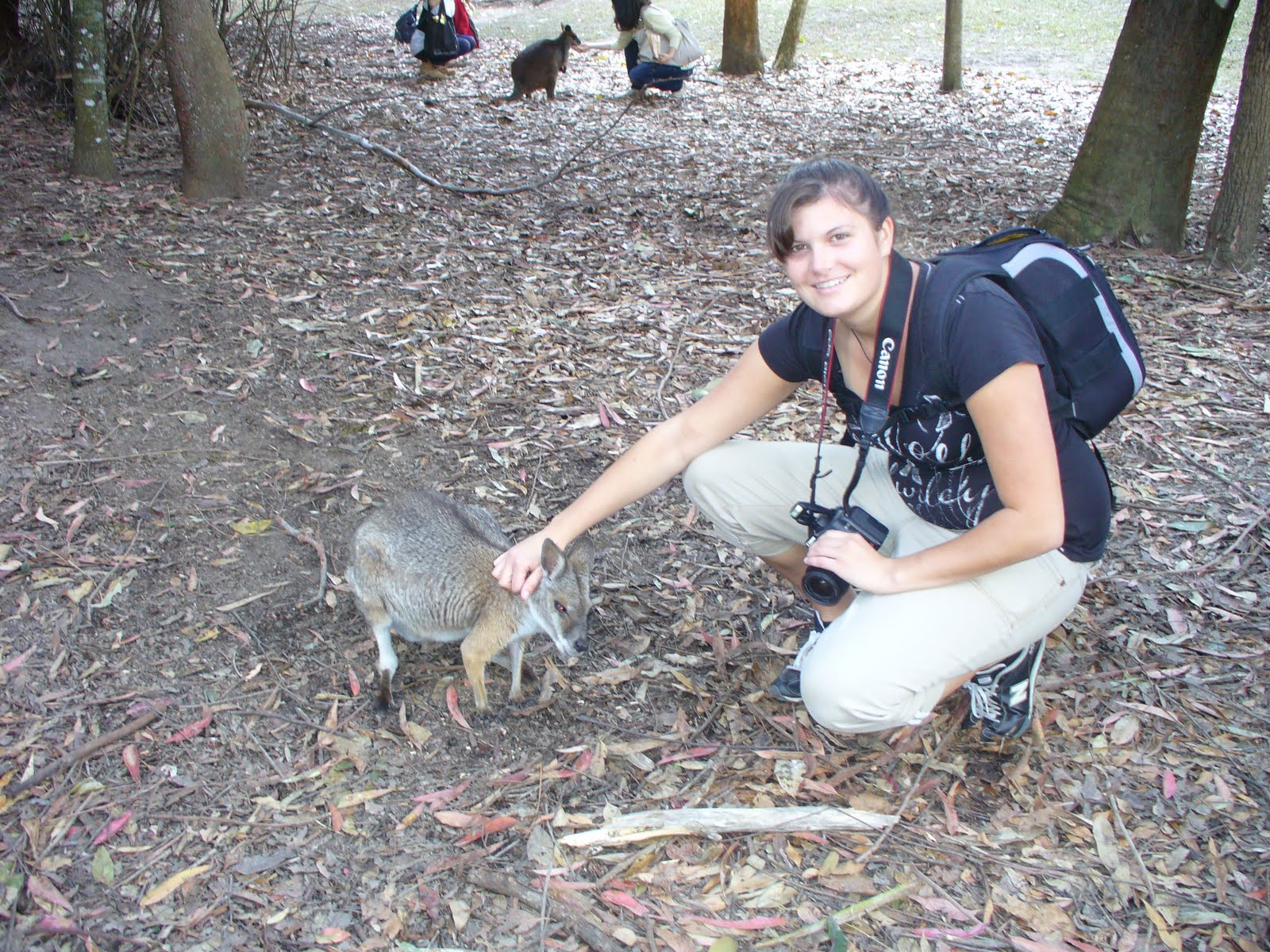 Sunshine Coast, Australia!: Home of the Crocodile Hunter