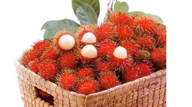 wow..! Si kecil yang kaya manfaat, 7 Manfaat Menakjubkan Buah Rambutan ...