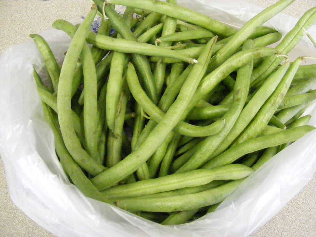 A Simple Bite: Wellness Wednesdays: 5 Healthy Ways to use Green Beans
