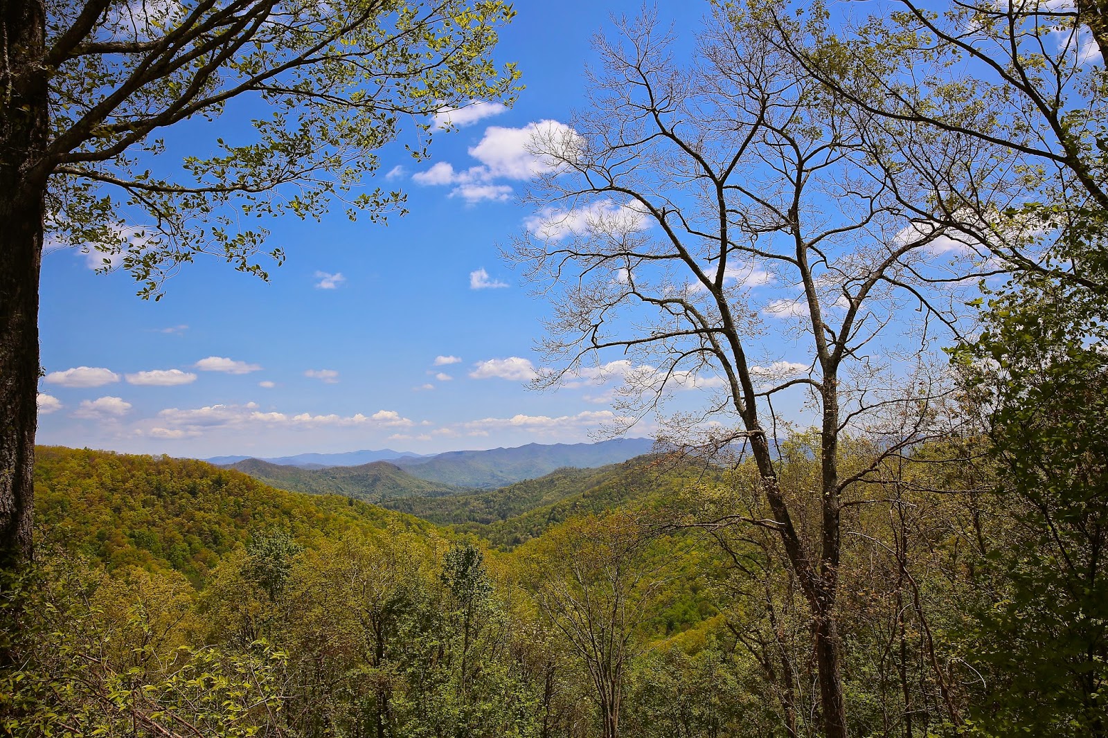 Sweet Southern Days: Springtime In The North Carolina Mountains
