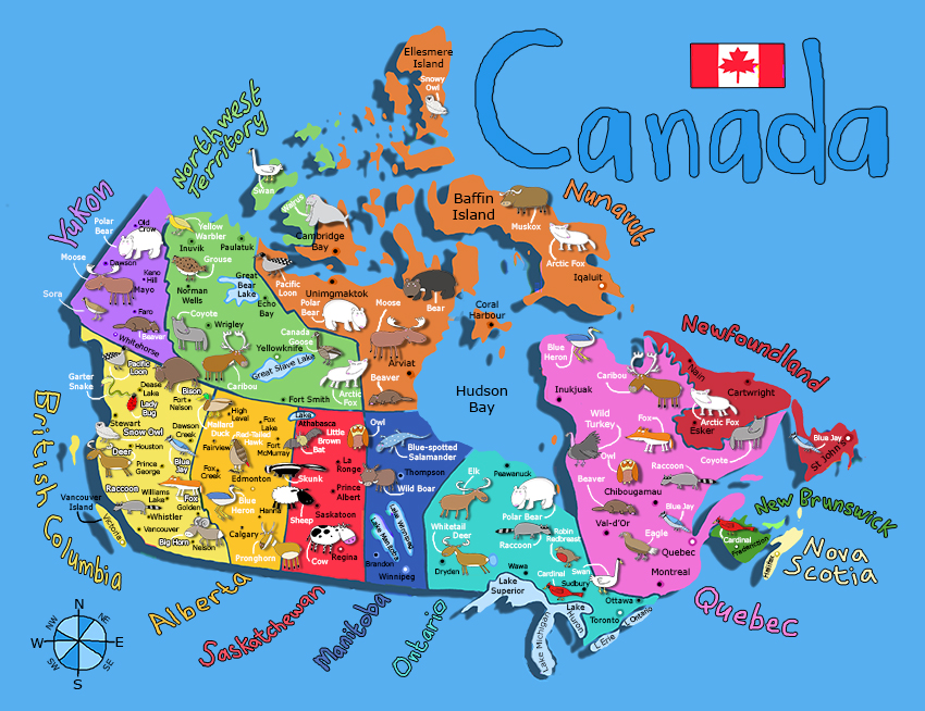 Its's a jungle in here!: Illustrated map of Canada