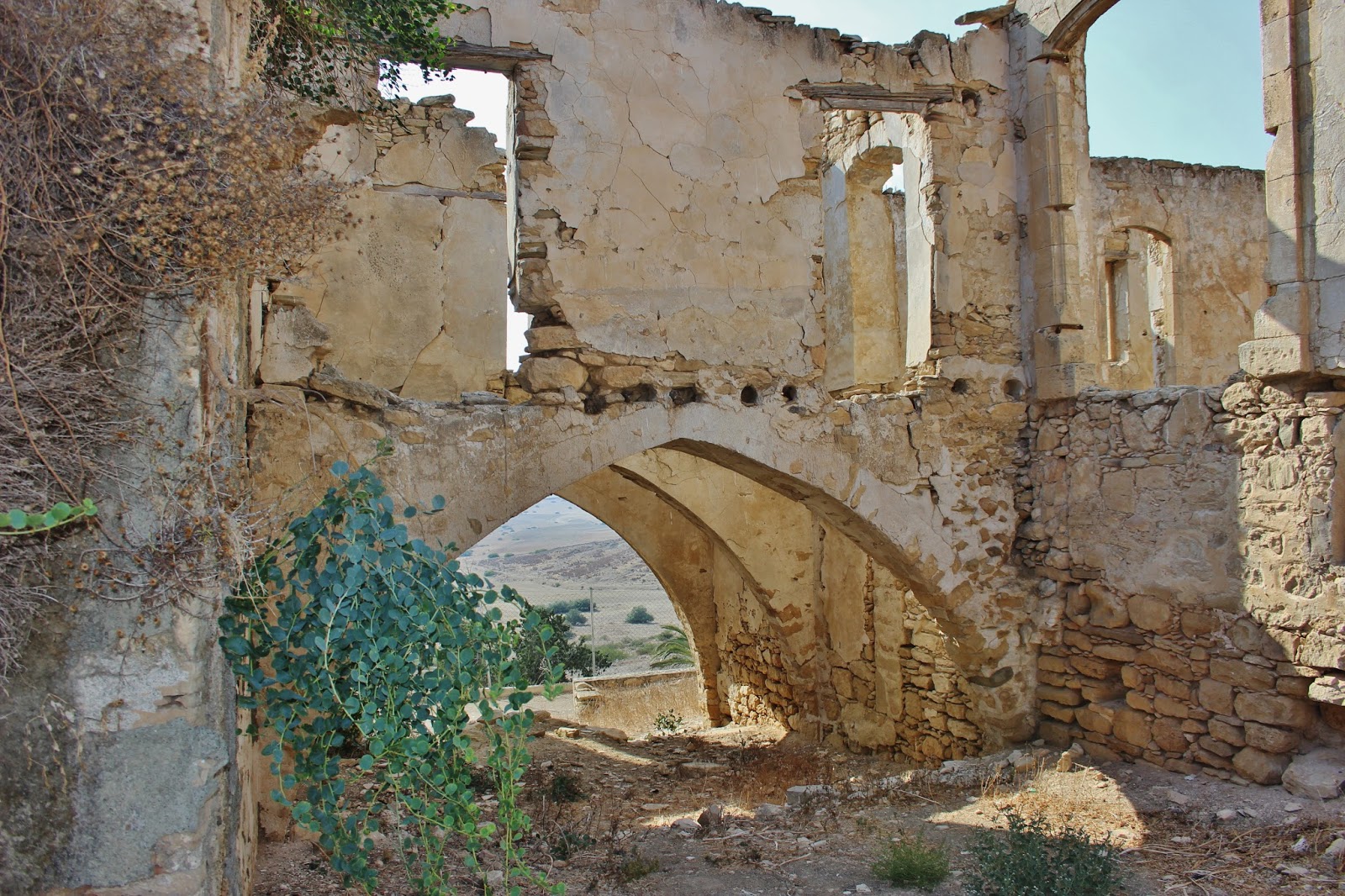 Biodiversity of Cyprus by NGO Protection of the Natural Heritage and ...