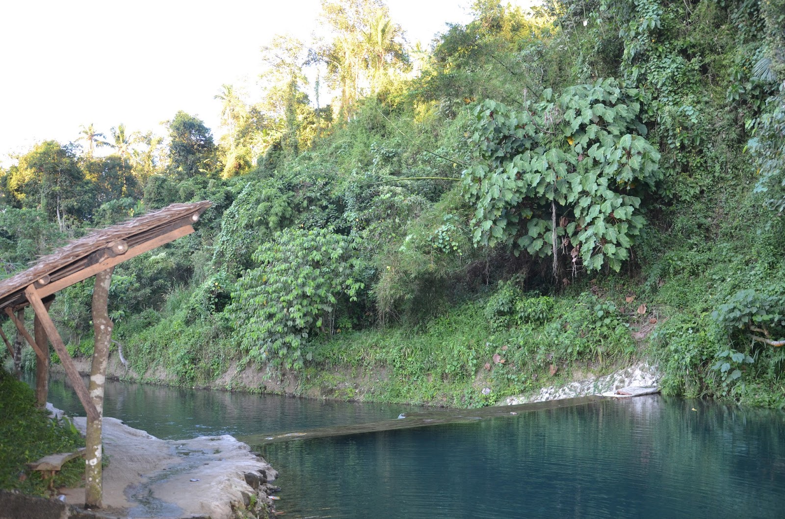 Villa Felomina Natural Spring Resort