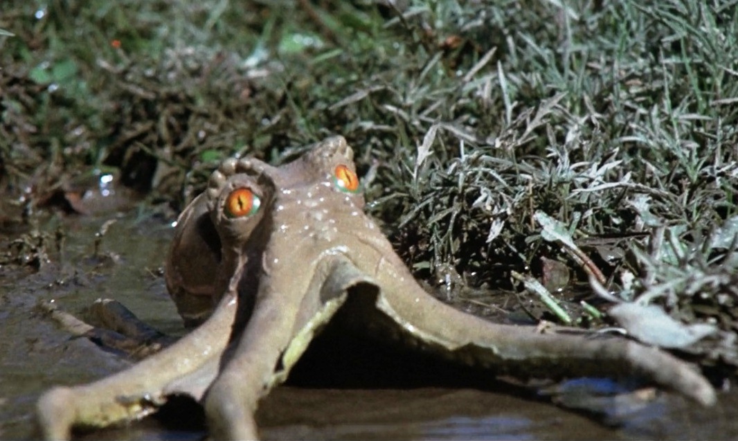 Octaman - Alchetron, The Free Social Encyclopedia