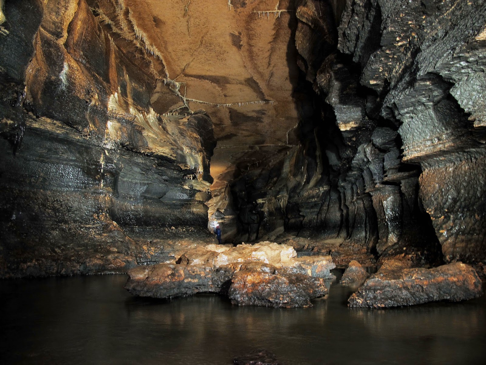 COLDWATER CAVE DOWN RIVER - ADAM HAYDOCK
