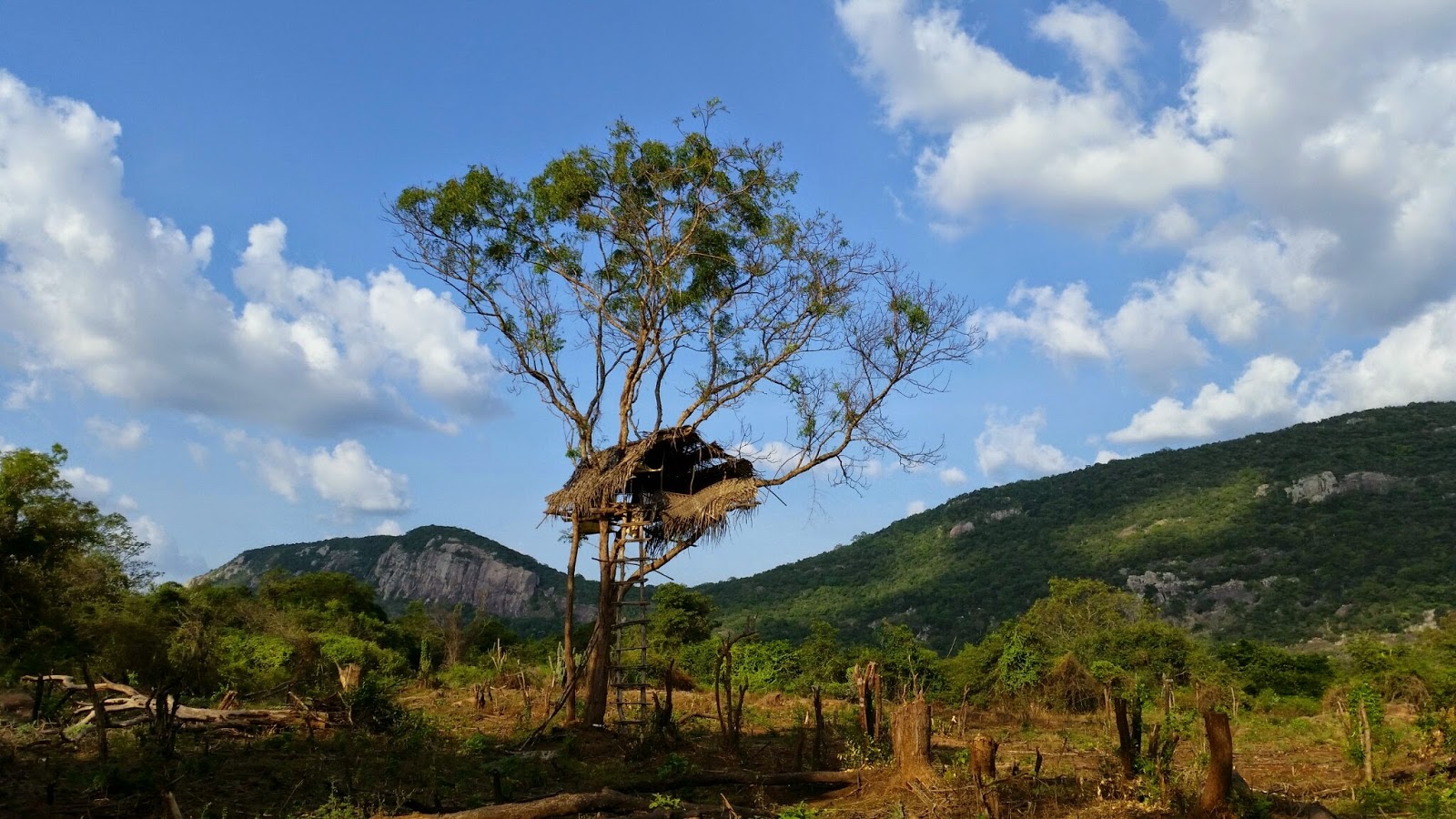 Divulgane Nature Society: මොකක්ද මේ දිවුල්ගනේ සොබා සංසදය?. - What is ...