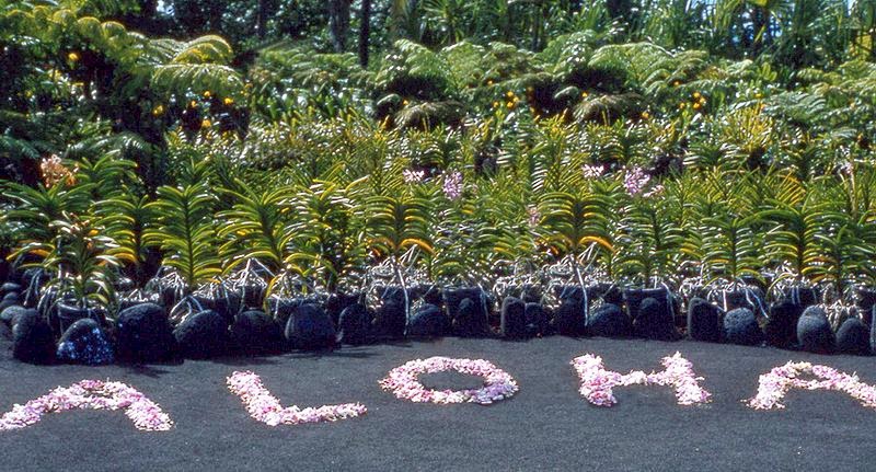 El rincón de Moana: ALOHA