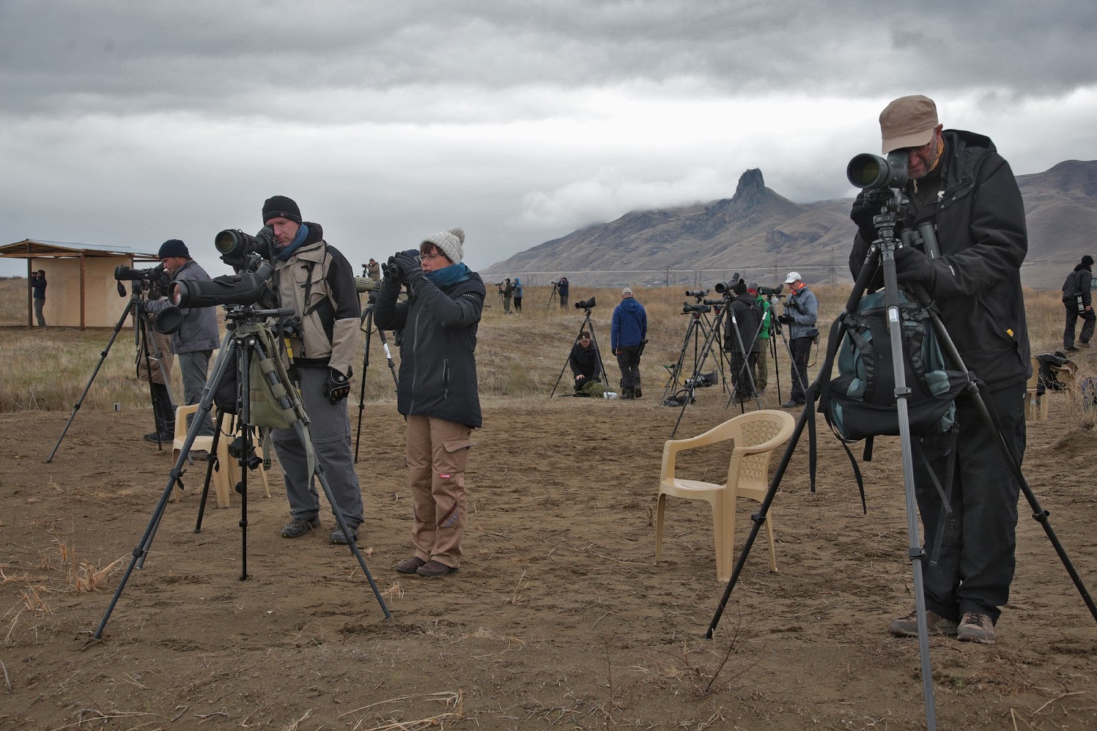 Birding Azerbaijan: Late October / early November impressions by ...