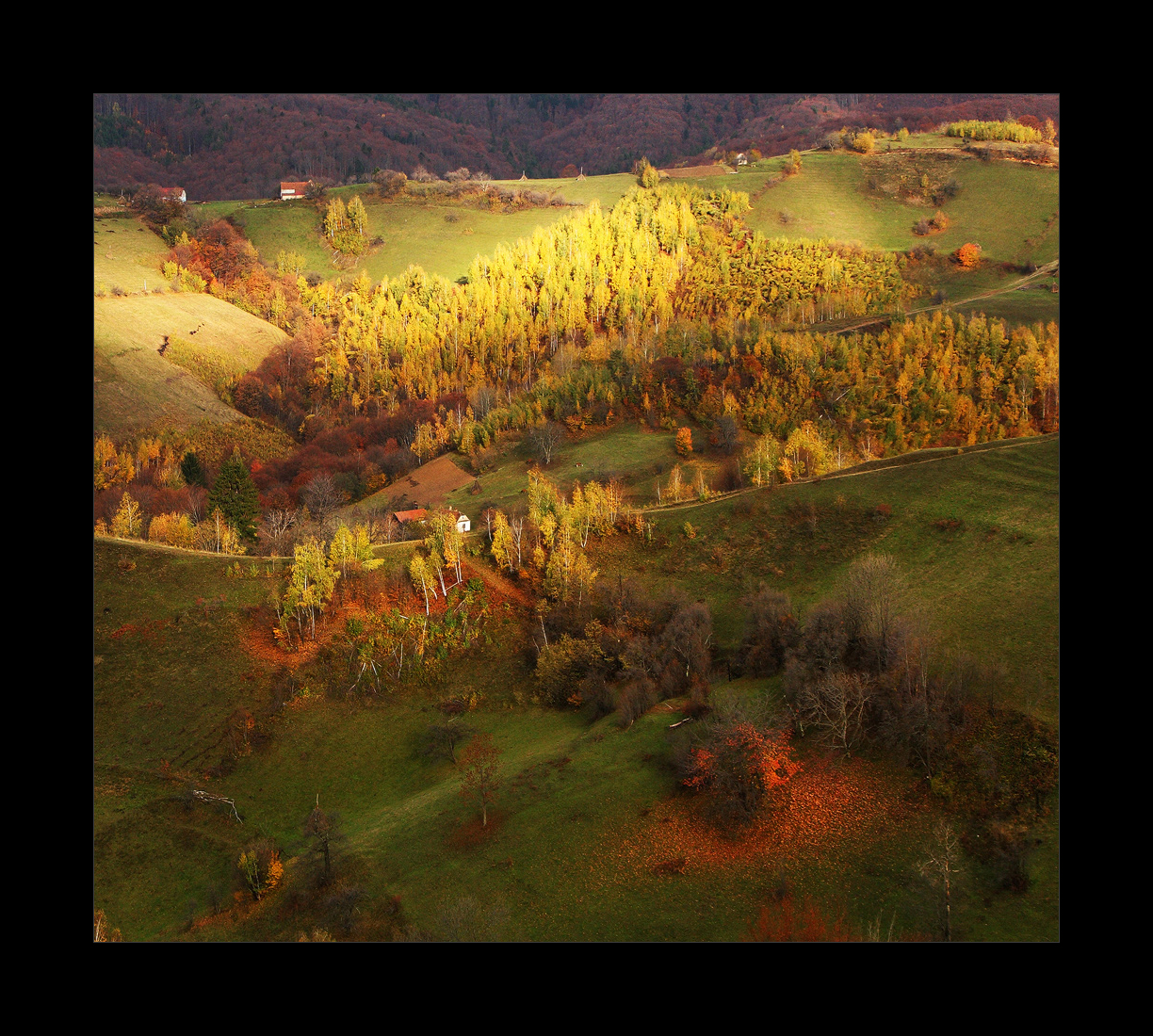 Cumpana. O viziune ortodoxa: Satul românesc la răscruce