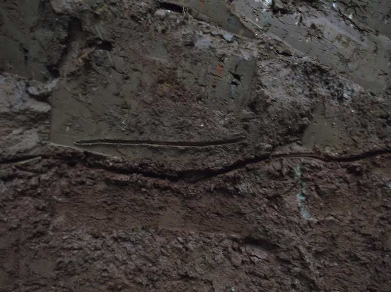 HISTORY OF A BECK: The triassic mercia mudstone of Stainsby beck