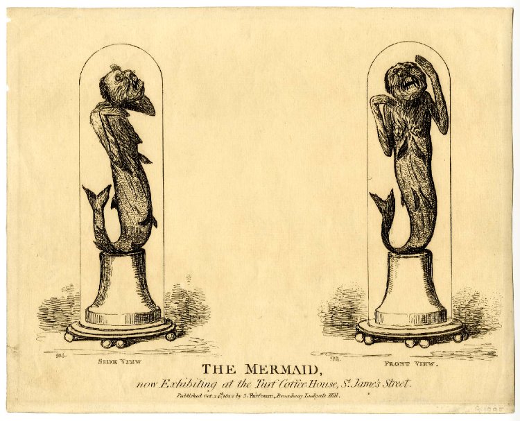 Spencer Alley: The Mermaid