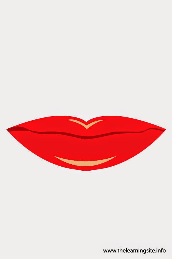 SGBlogosfera. María José Argüeso: BODY PARTS FLASHCARDS