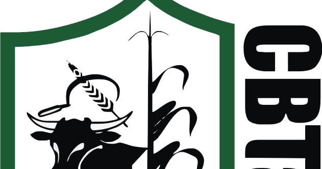 portafolio de evidencias