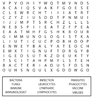 Euro ICT Grade 4: The Immune System