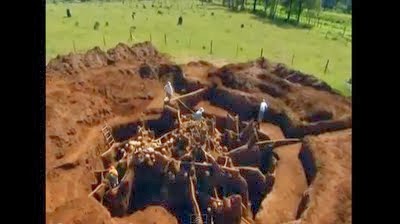 Tem de Tudo: Por dentro de um formigueiro