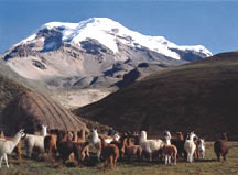 chimborazo