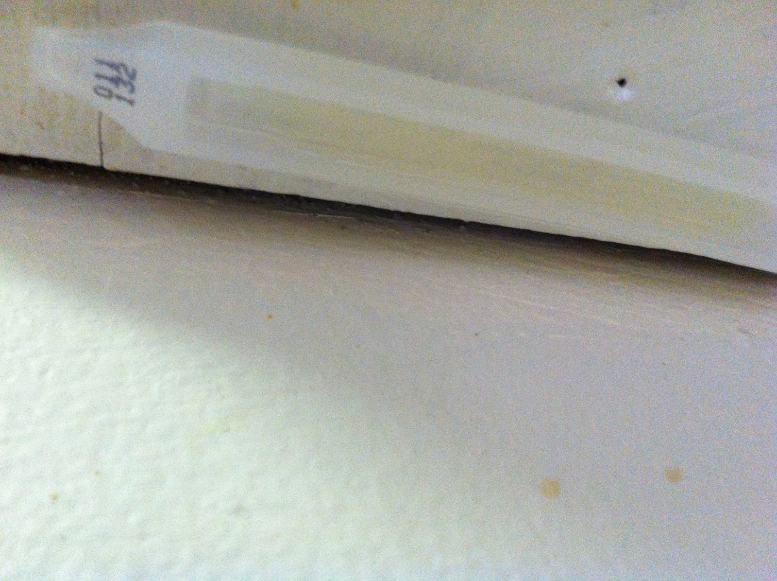 This Chattanooga Mommy Saves: Combat Ant Killing bait Strips Review+ ...