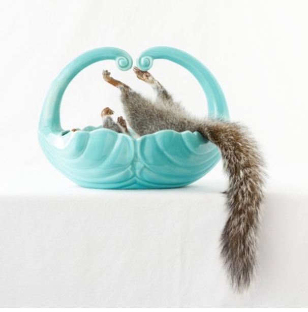 Murmure Visible: Kimberly Witham