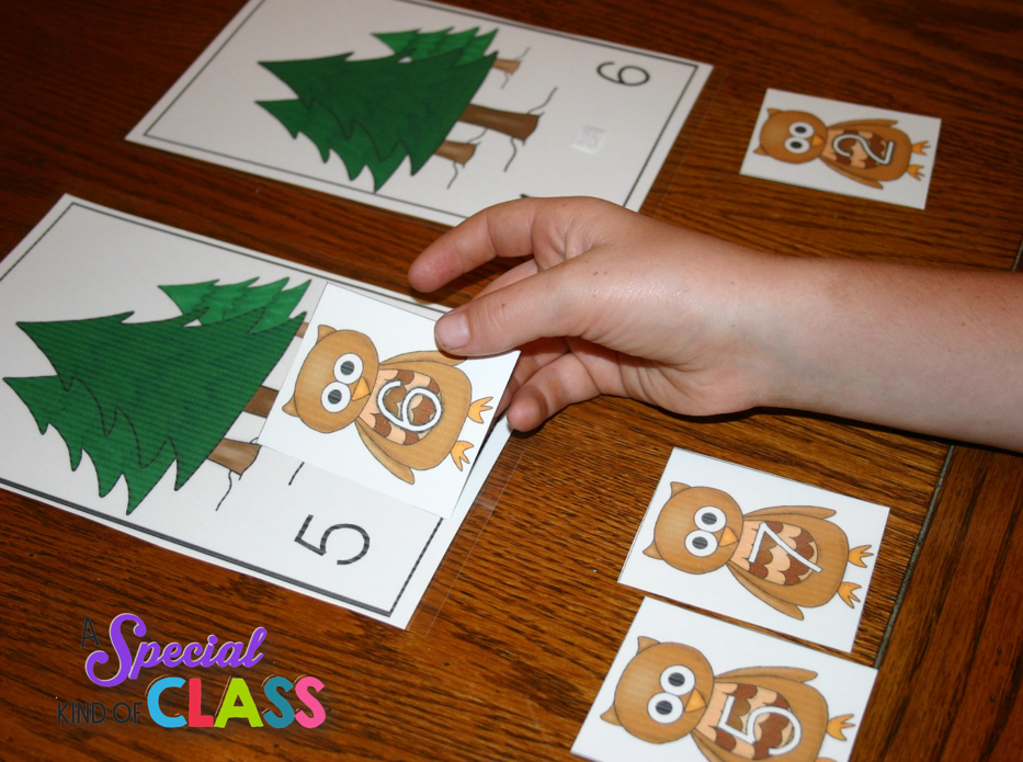 A special kind of class: Work Station Wednesday - Forest Animals