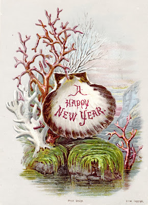 Life on Delmarva: Happy New Year from the Beach | Seashore Greetings to ...