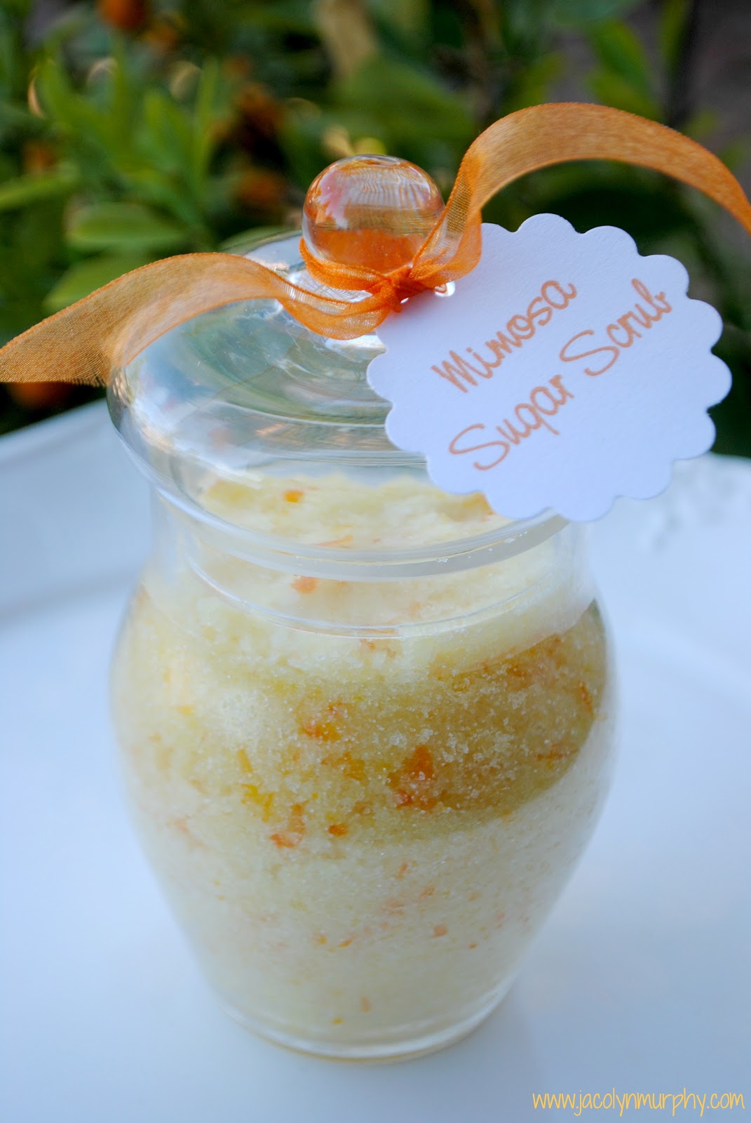 Jac o' lyn Murphy: Sugar Momma! Mother's Day Sugar Scrub
