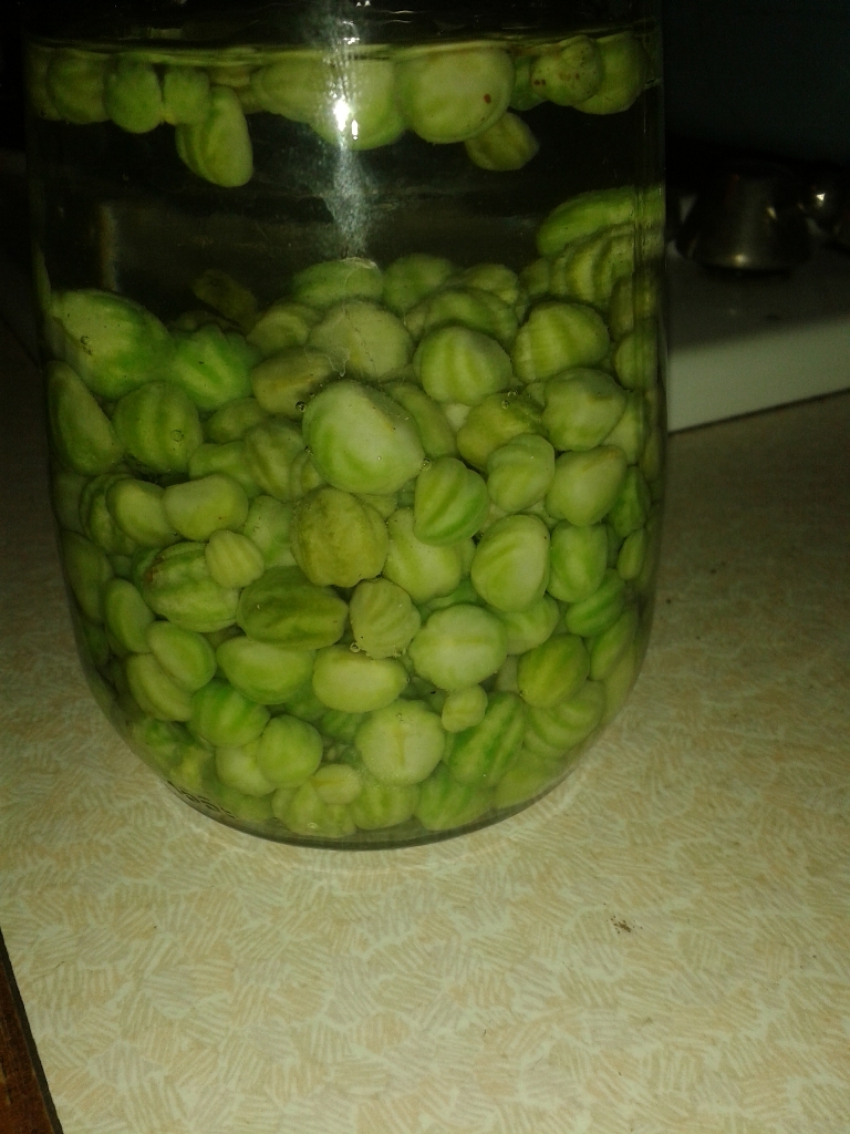 An English Homestead: Poor Mans Capers