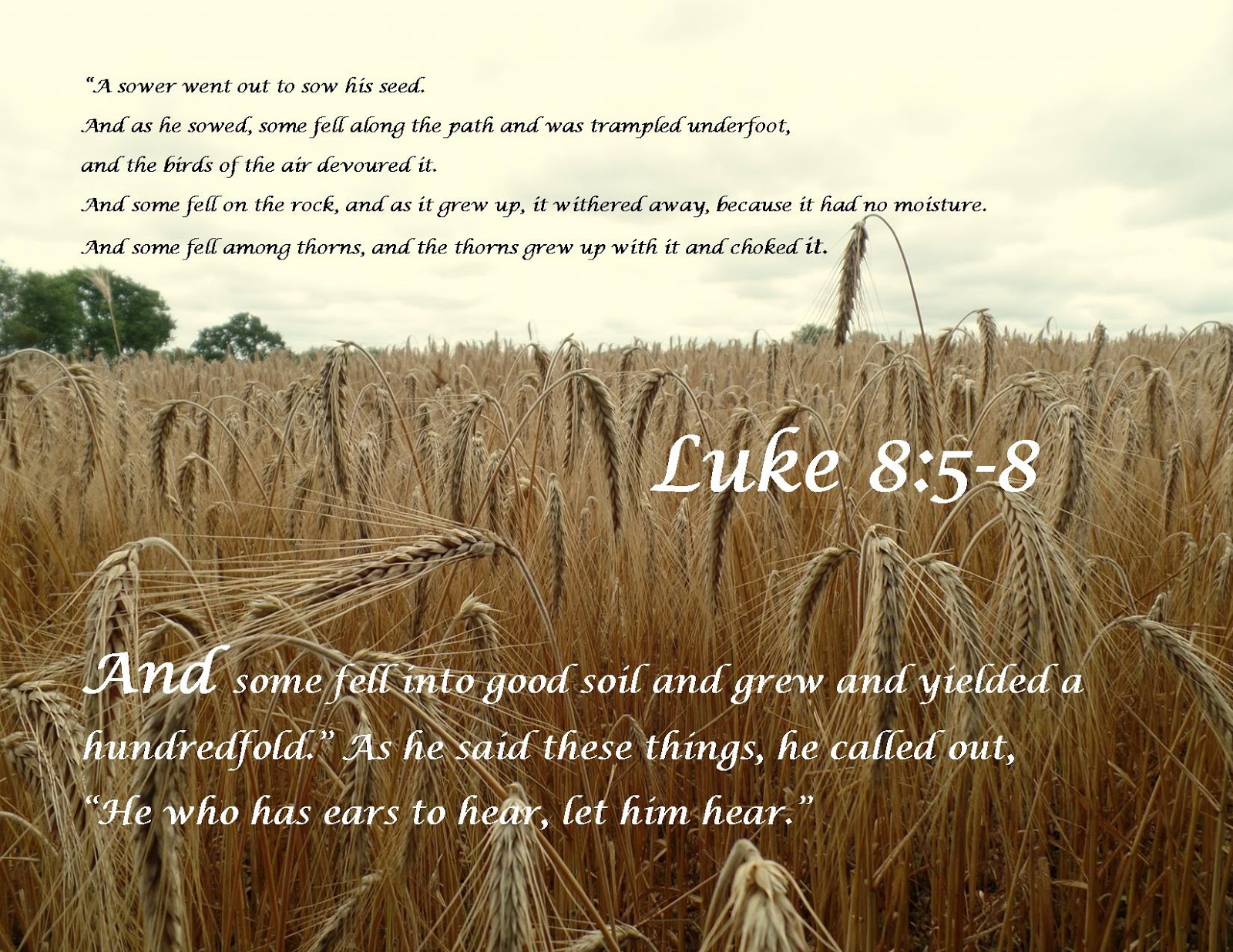 Scarlet Robe Scripture Verses: February 2017