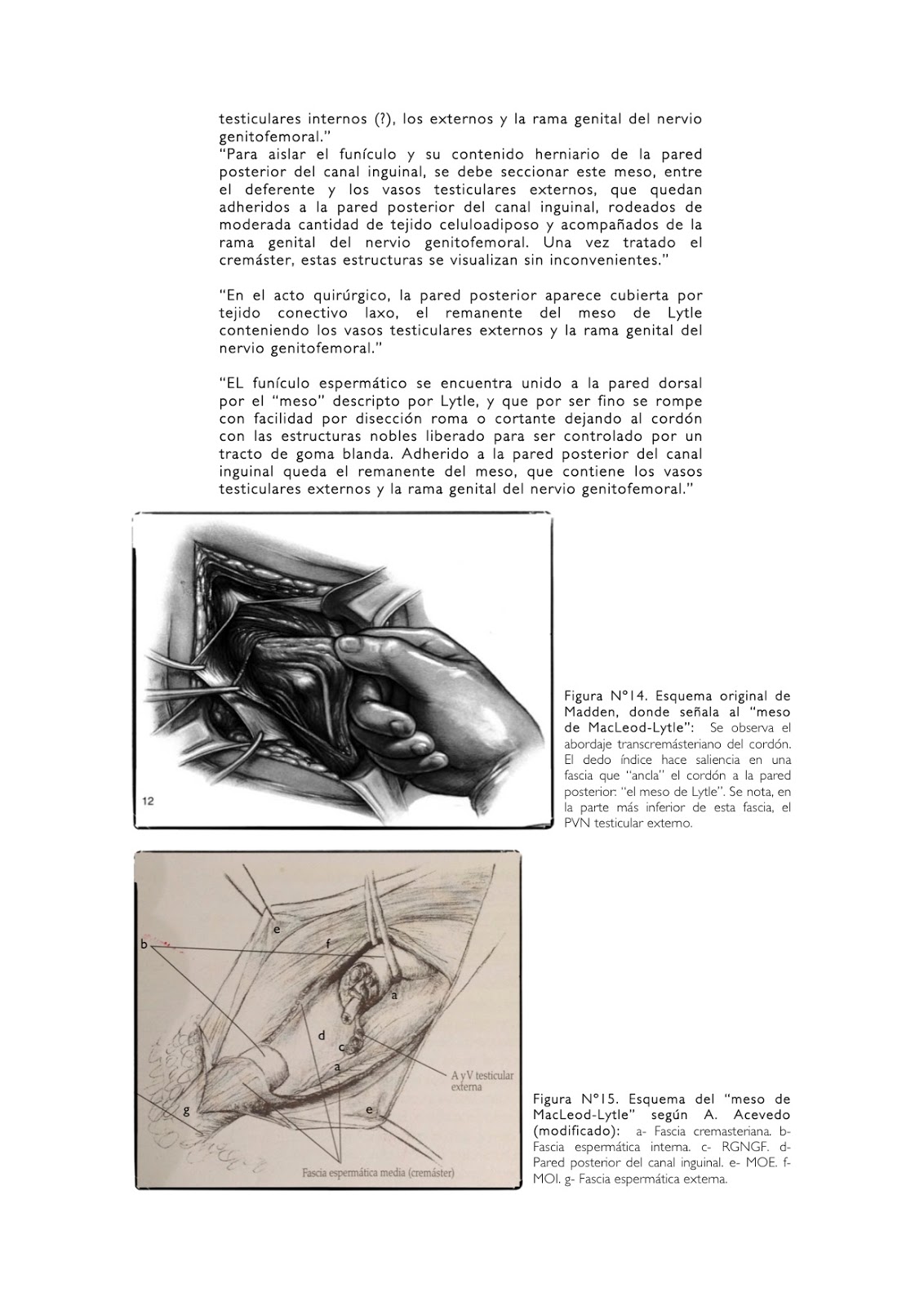 Cuadernos de Anatomía Quirúrgica: Anatomía quirúrgica del cremáster.