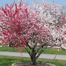 Palabras desde el umbral