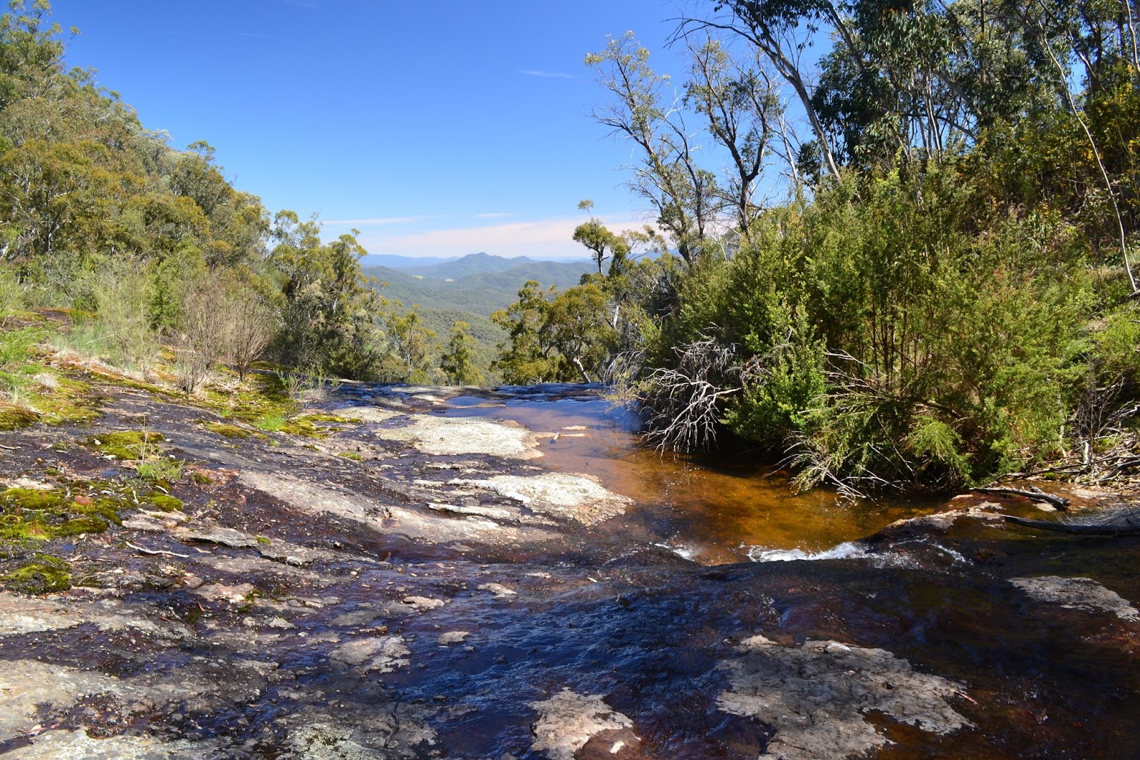 Goin' Feral One Day At A Time: Mount Cobbler, Alpine National Park ...