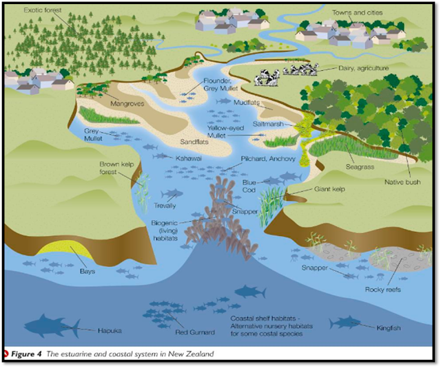 A Level Geography Blog: Coastal Systems and Management