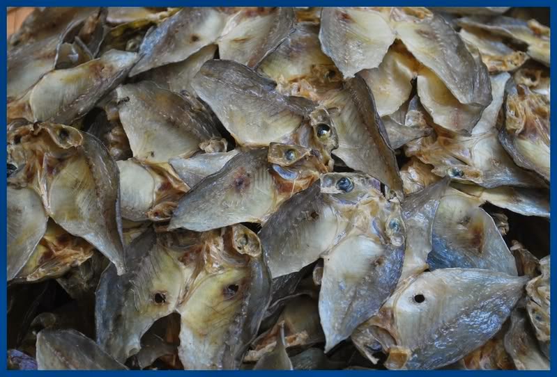 Naturalism - the Eighth Sense: Don't patronize "Padas" and "Danggit.""