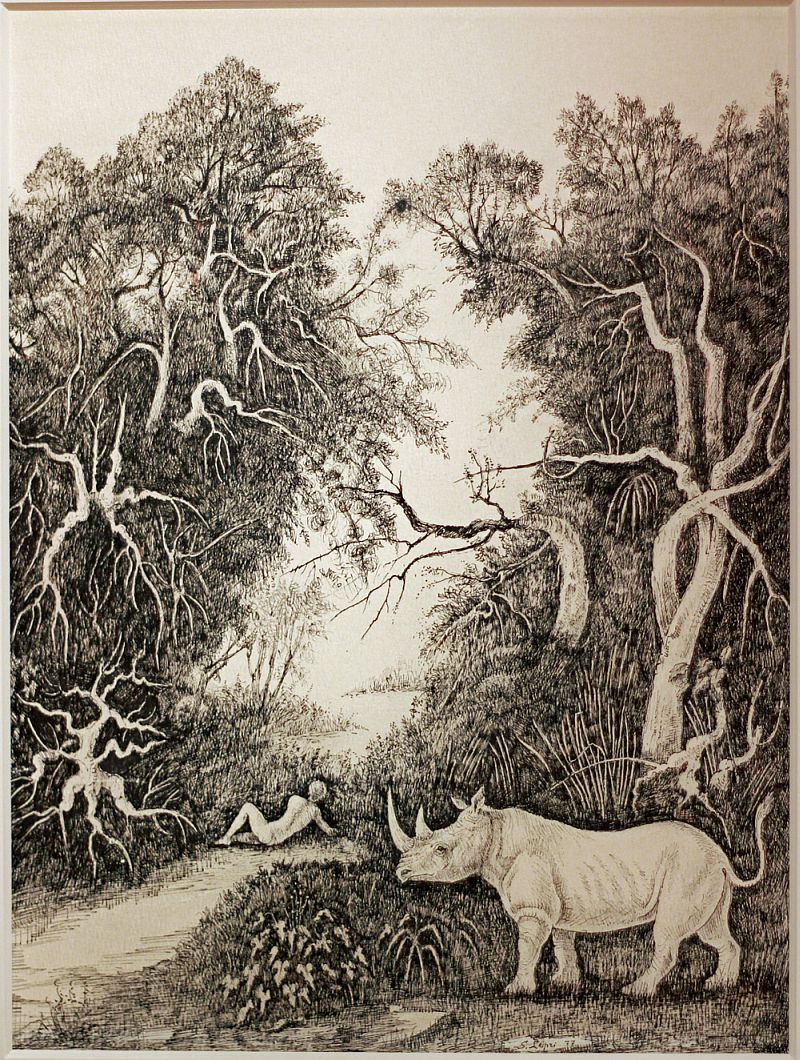 El Hurgador [Arte en la Red]: Rinocerontes (LII)
