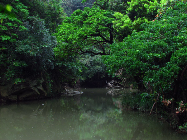 Map It! Okinawa: "Legend of Yara Muruchi - Kadena"