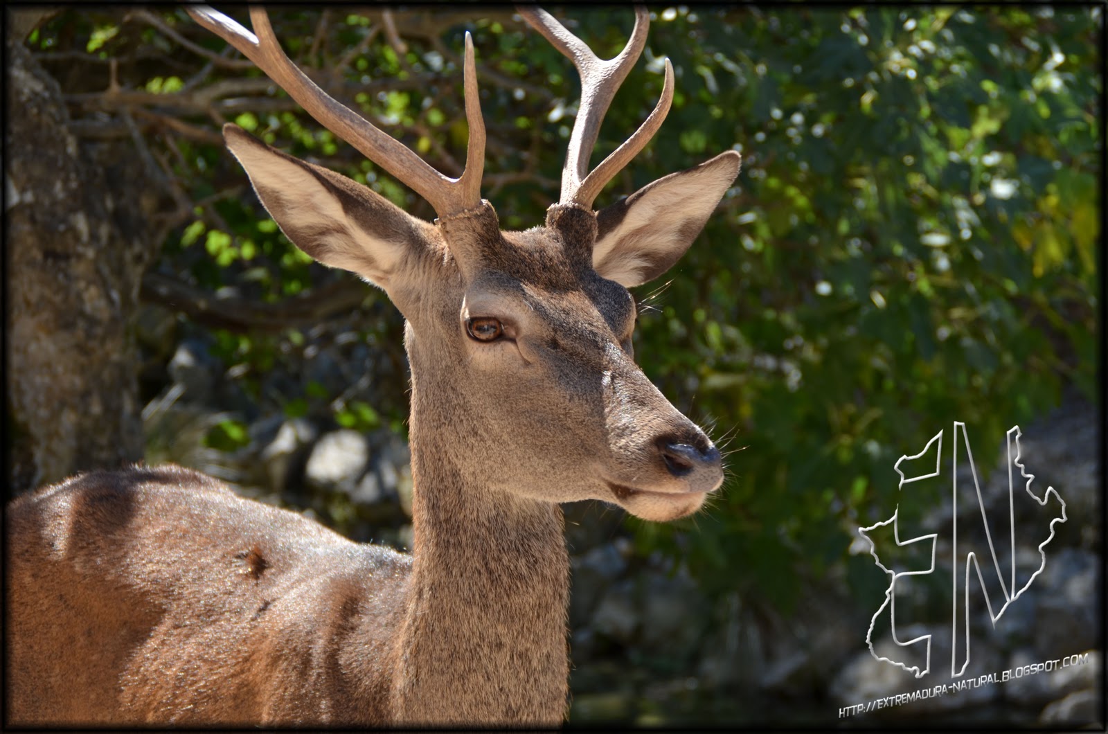 Extremadura Natural: Parque Natural Sierra de Cazorla