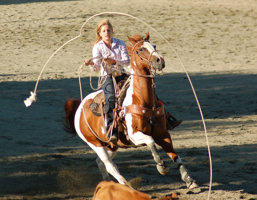 Olympic Equestrian Eventing Tickets: Roping & Equestrian Eventing Tickets