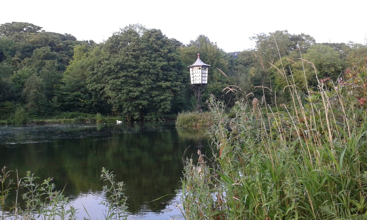 Swog Blog. (Stockport Walking Outdoor Group.): Walk Disley Strines 05 ...