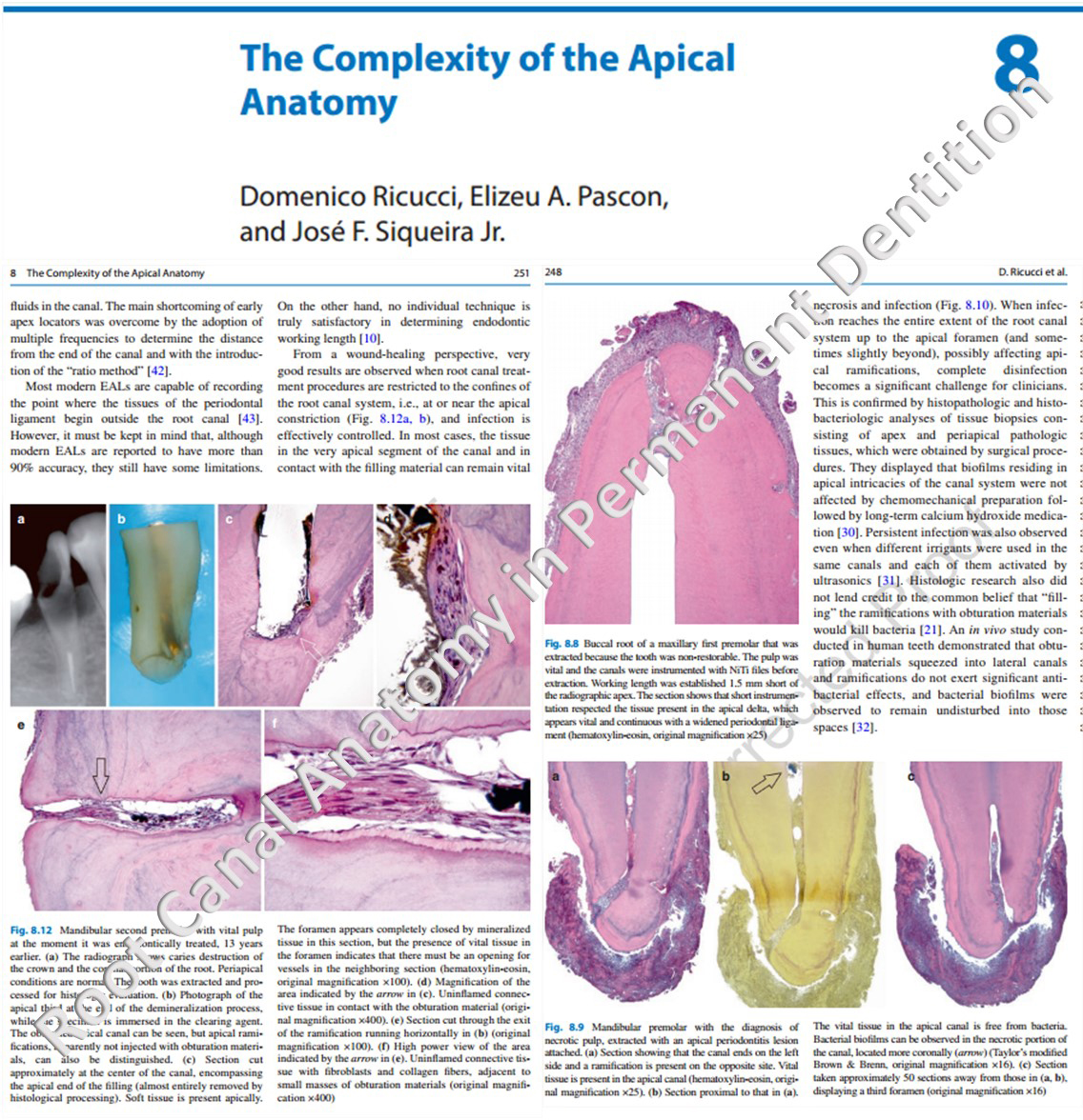 The Root Canal Anatomy Project: 2018