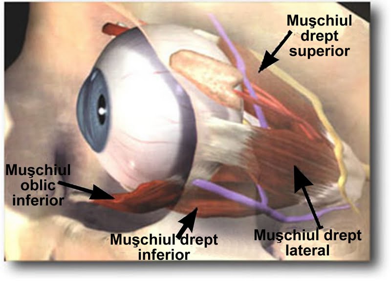 BLOG CARMEN PLESEA: OCHELARII cu PERFORATII (PINHOLES) - SOLUTIA ...