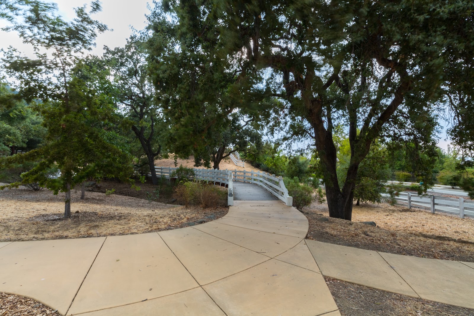 Naturetastic Blog: Alviso Adobe Community Park - Pleasanton, CA (9/11/2017)