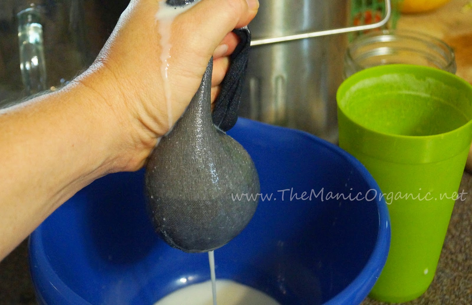 The Manic Organic: Cashew "Milk" and "Cheese"